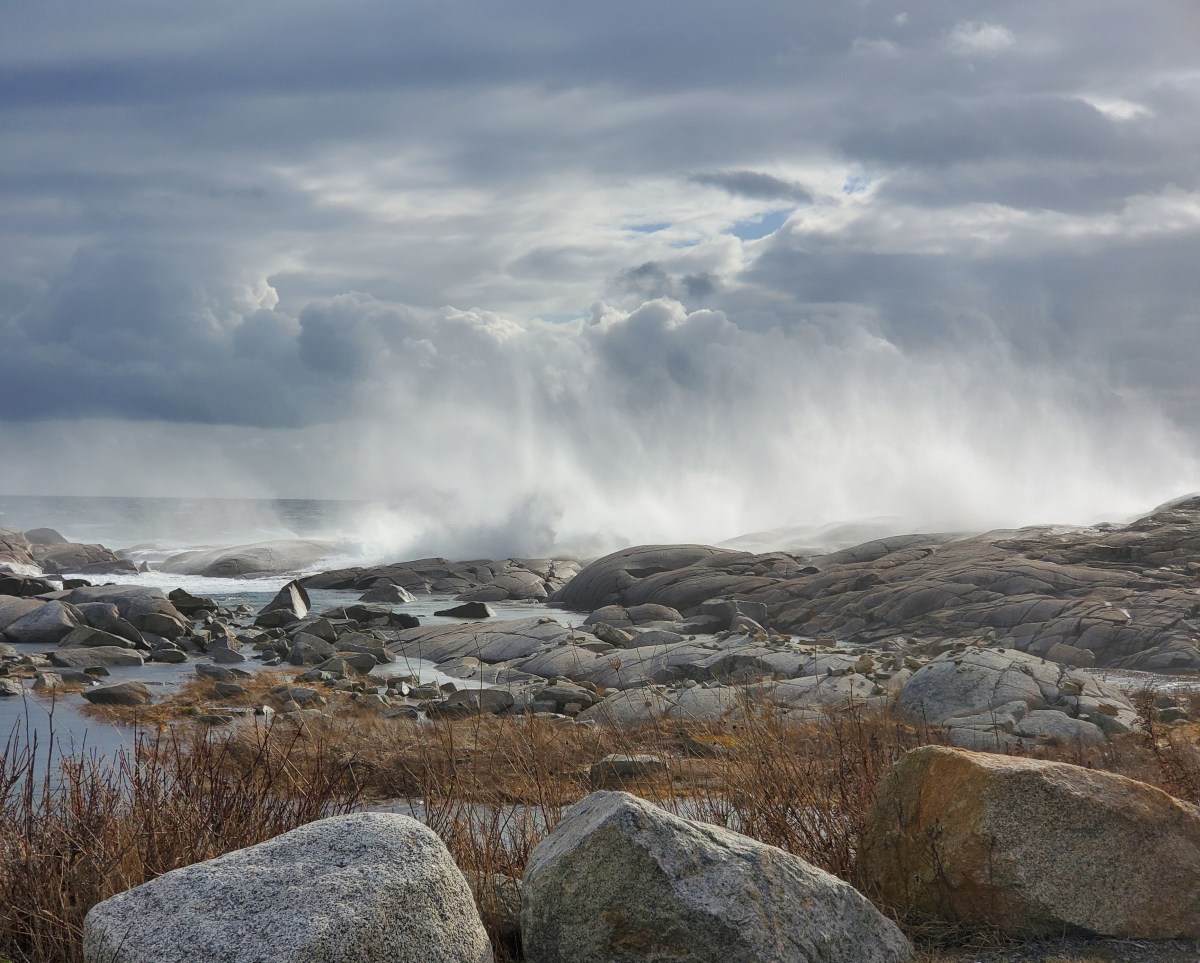 Lens-Artists Photo Challenge #136: Subjects Starting with the Letter–S ...