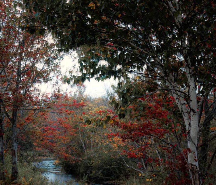 Wordless Wednesday- Autumn Colors – 100CountryTrek.com