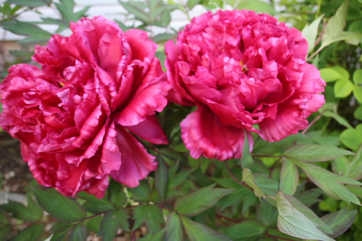 Two – One Word Sunday – 100CountryTrek.com