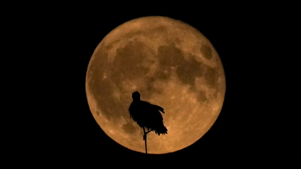 Moon- Nature Photo Challenge #30 – 100CountryTrek.com