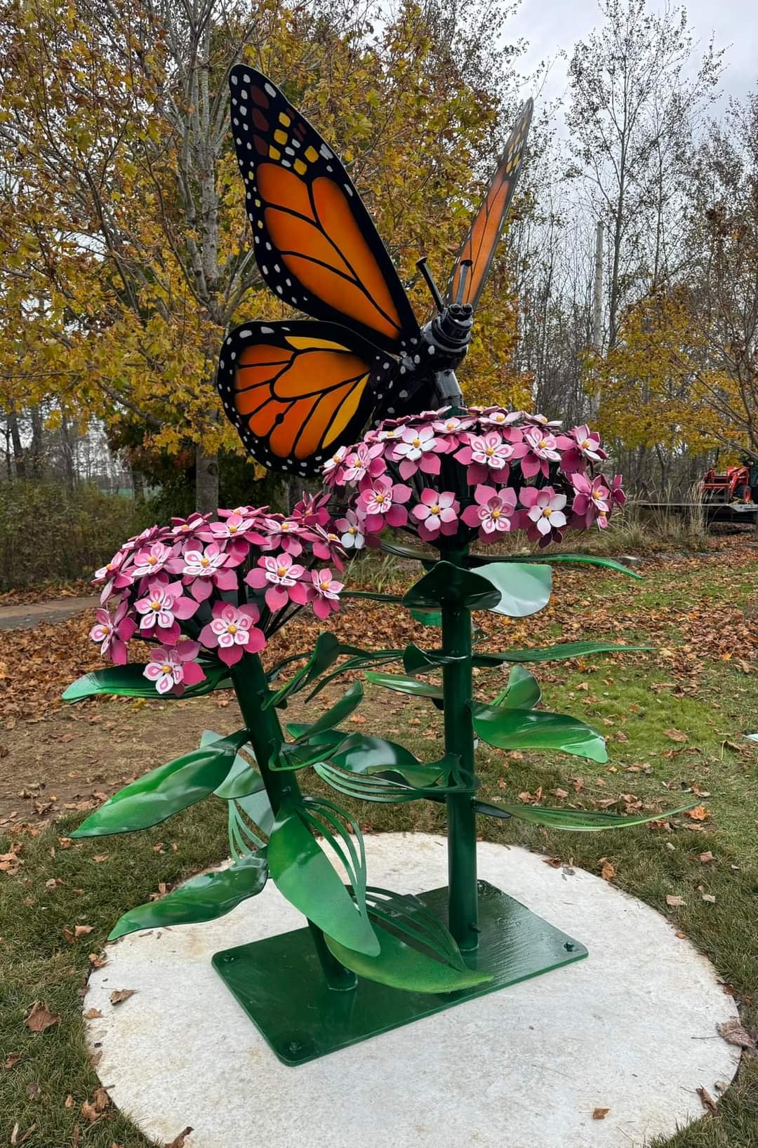 Monarch Butterfly – 100CountryTrek.com