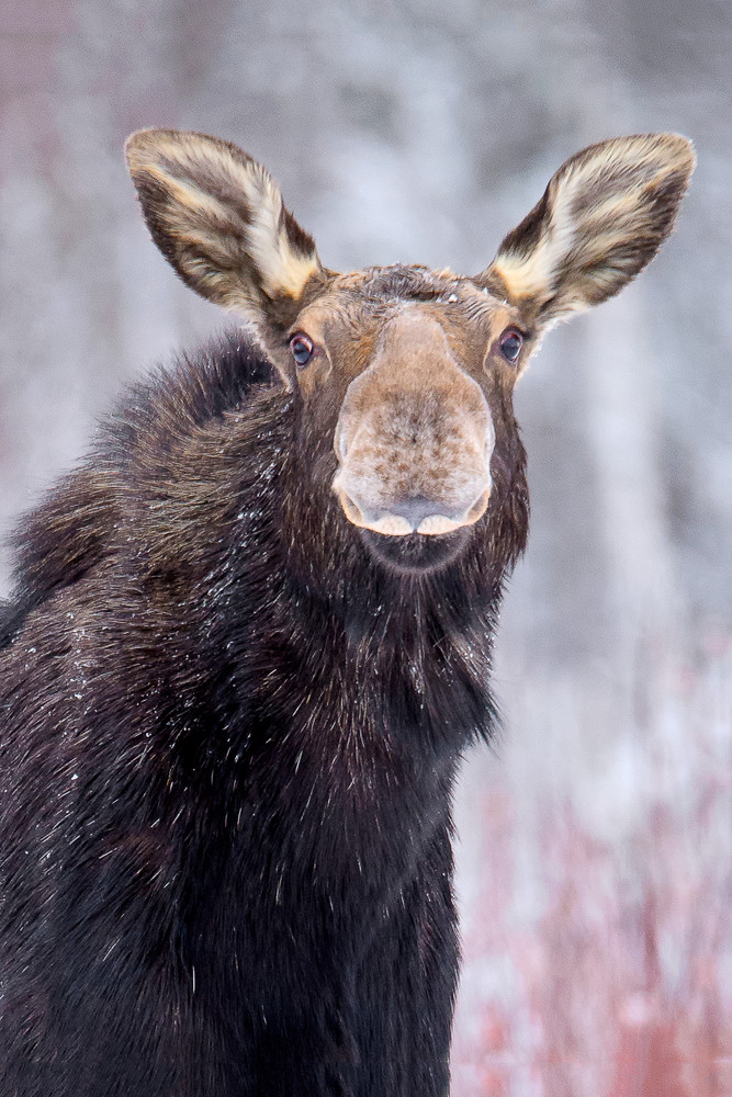 100CountryTrek.com – Travelling is my joy of living. Sit back relax and ...