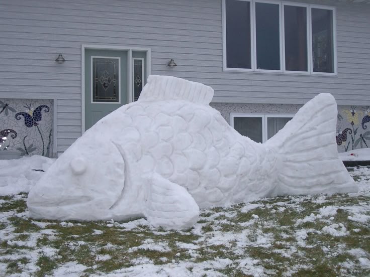 Snowy Fish – 100CountryTrek.com